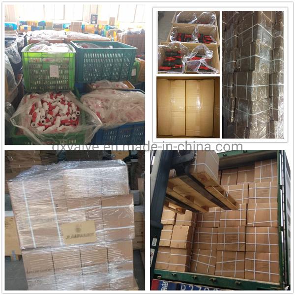 Socket and Threaded ASTM PVC Valve for Water Supply Use!