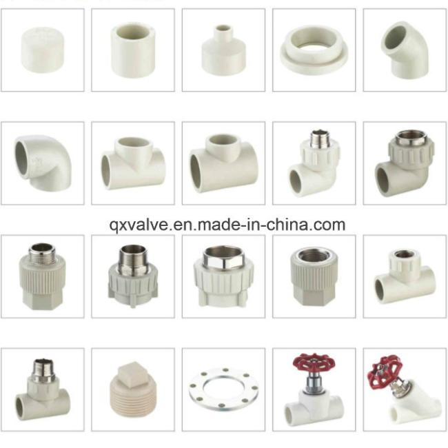 China Manufacturer Plastic Fitting PPR Water Connector PPR Pipe Fitting