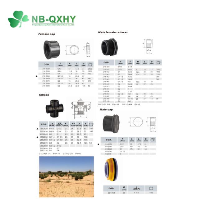 Black PP Threaded Pipe Fittings Bsp Standard Pipe Fittings