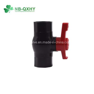Cina Valvole a sfera ottagonale in PVC nero con sigillo del sedile in in vendita
