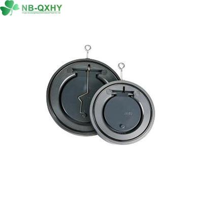 Cina Struttura della valvola a sfera flessibile Chinese DIN ANSI JIS Standard PVC Check Water Valve in vendita