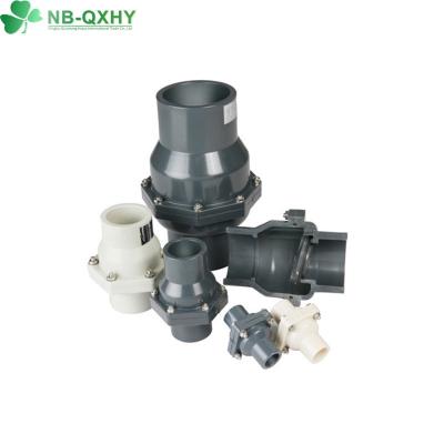 Cina Struttura della valvola a sfera flessibile Chinese DIN ANSI JIS Standard PVC Check Water Valve in vendita