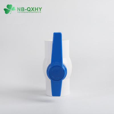 Cina Valvola a sfera fissa in PVC standard ASTM con struttura e campioni di maniglia lunga blu in vendita