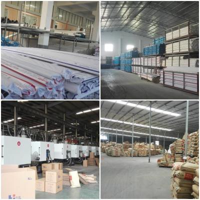 Cina 1/2