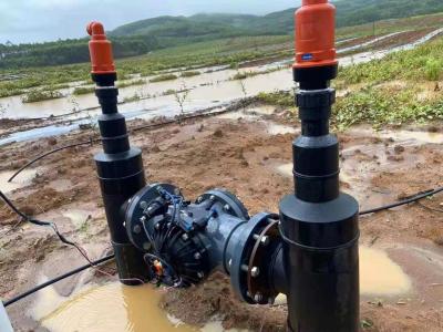 中国 NPT標準と浮遊ボール構造のプラスチック農業空気放出バルブ 販売のため