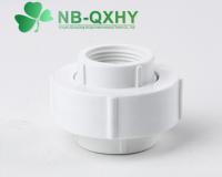 China Round Head Code Plastic Fitting Female Cap and Female Tee for Industrial Applications for sale