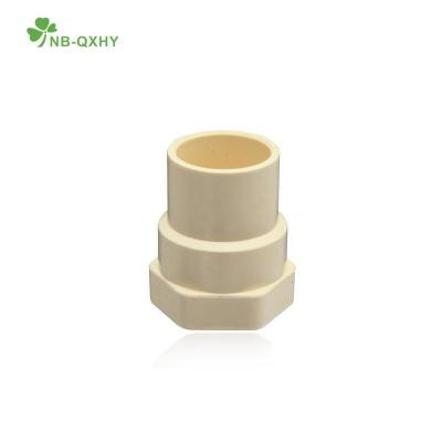 中国 カスタマイズされた要求 Nb-Qxhy プラスチック 女性アダプタ 糸 ASTM 2846 CPVC フィッティング 販売のため