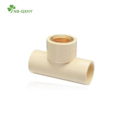 中国 鋳造 ASTM 2846 フィッティング Nb-Qxhy 水道パイプ 女性 青銅糸付きTee 販売のため