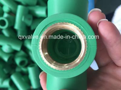 Cina Richiesta personalizzata Fittings PPR e Valvola a sfera PPR Dimensioni complete da 20 mm a 160 mm in vendita