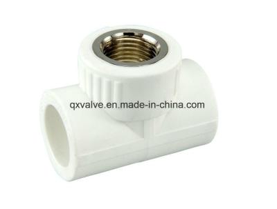 Cina Forgiato PP-R Pipe Fitting Accoppiamento Elbow Tee Union e più per applicazioni versatili in vendita