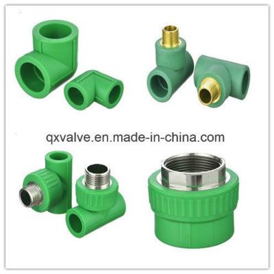 Cina PPR Fittings Series Copper Female Couping Blu Verde Bianco Grigio con personalizzazione in vendita