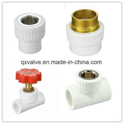 Cina PPR Fittings Series Copper Female Couping Blu Verde Bianco Grigio con personalizzazione in vendita