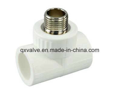 Cina PPR Fittings Series Copper Female Couping Blu Verde Bianco Grigio con personalizzazione in vendita