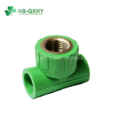 Cina PPR Pipe Fitting Female Nastro di ottone riducente Tee per 20 mm a 110 mm connessione di saldatura in vendita