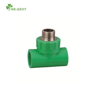 Cina Nb-Qxhy tubo di plastica PPR ottone maschio Tee per acqua calda e fredda Ordine minimo 1 pezzo in vendita
