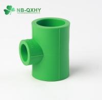 China US 1/Piece Samples PPR Cross Pipe Connectors for Irrigation All Types Customization for sale