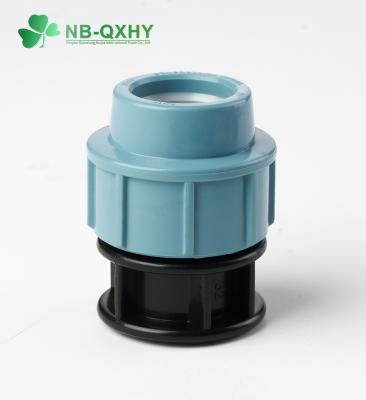 Cina Fittings con connessione competitiva e femminile in vendita