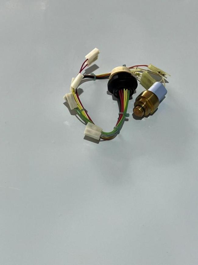 923855.1825 4212557 Wiring harnesses Kalmar Reach Stacker Parts 1