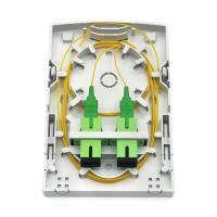 China 2 Ports FTTH Wall Box Indoor Optical Outlet With SC Simplex LC Duplex Adapters for sale