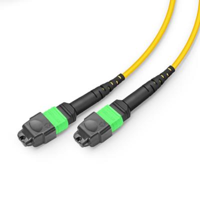 China 24 Cores Mtp Patch Cable Mpo Fiber Patch Cable SM OS2 With LSZH Out Jacket for sale