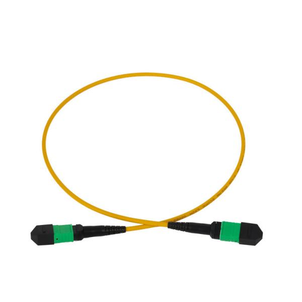 12F MPO Patch Cord 3mm LSZH Out Jacket PVC OFNR Outdoor For Network