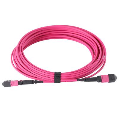 China 12/8/24 Fibers MPO to MPO OM3 Multimode Fiber Optic Patch Cord for sale