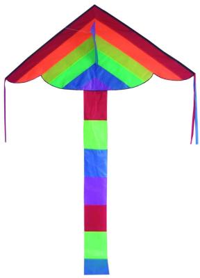 China Single Line Delta Wing Kite Easy Assembled With 30m String Line Beginner use for sale
