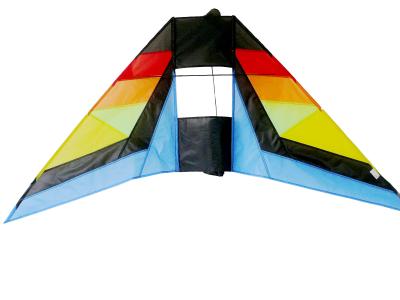 China Nylon Polyester 2-5bft Swing Range Stunt 3D Kite for sale