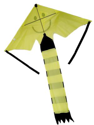 Cina Bambini che giocano la linea delta di nylon Wing Kite di 30m in vendita