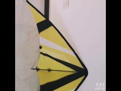 papagaio do esporte do delta do ODM do OEM de 160*80cm com material do poliéster