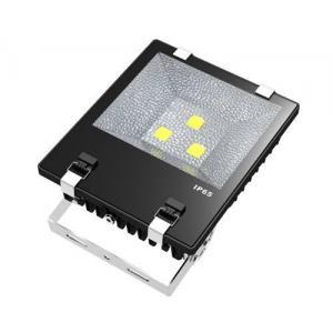 China Outside Stadium Gym ASA Housing 150w Led Flood Light 240v High Lumen for sale