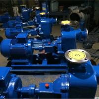Quality Customizability Water Treatment System - High Lift Self-Priming Pump for sale