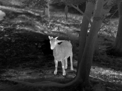 China Guide TA 50mm Thermal Imaging Attachment For Hunting for sale