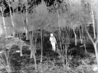 Cina Collegamento automatico di Riflescope di visione notturna della compensazione IP67 per caccia in vendita