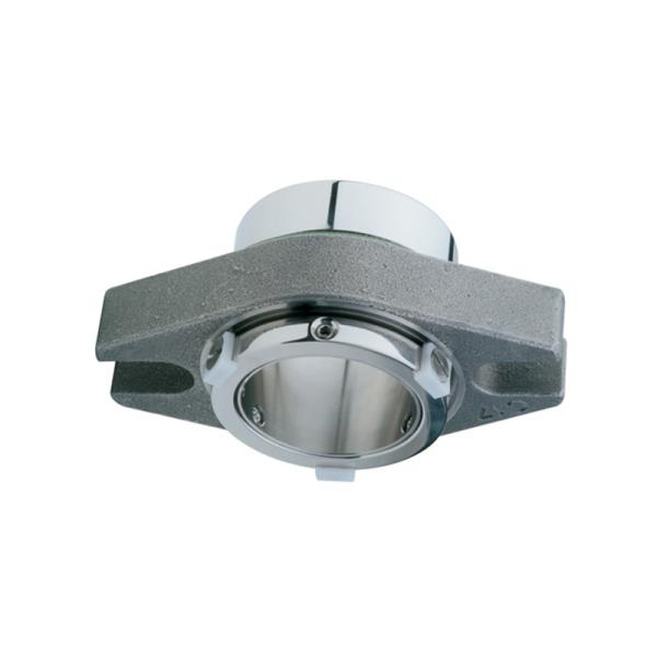 Quality Convertor II AESSEAL Mechanical Seal For Replace Packing Agitator Seal for sale