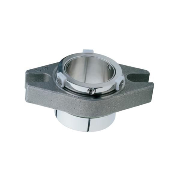 Quality Convertor II AESSEAL Mechanical Seal For Replace Packing Agitator Seal for sale