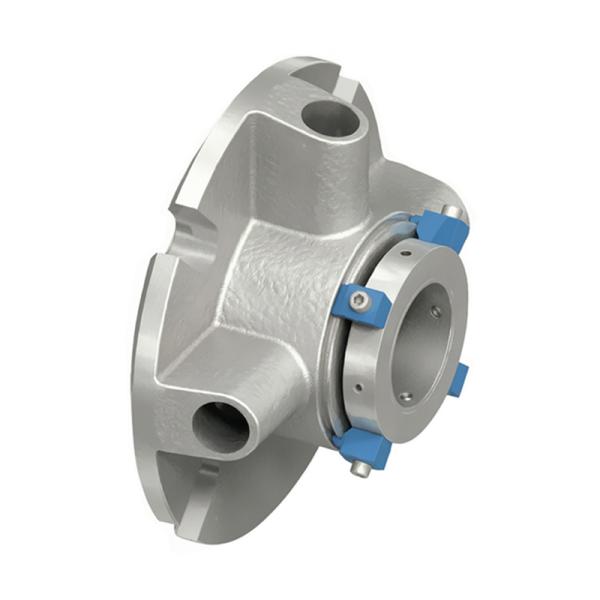 Quality ISC1BX Flowserve Mechanical Seal Single Rotating Metal Bellow Seal Pump for sale