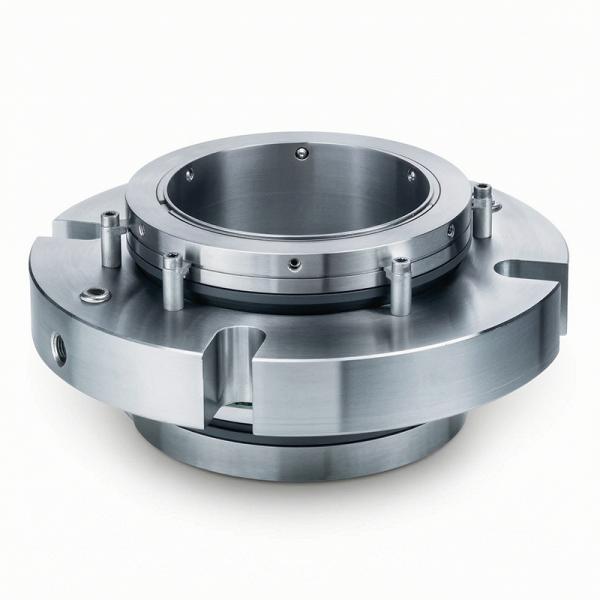 Quality 365 Double Acting DEPAC Mechanical Seal 700mm 28bar For Pumps Agitators Mixers for sale