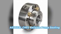 AESSEAL CAPI Dual Mechanical Seals for Oil and Gas Pumps