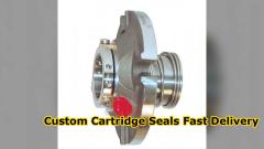 AESSEAL TPOC Cartridge Seal Fast Custom Manufacturing