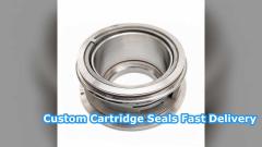 Custom Cartridge Mechanical Seals for Industrial Pumps