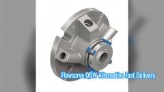 Flowserve QBW Seal Alternative Fast Custom Pump Seal Solution