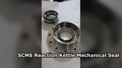 SCMS Reaction Kettle Mechanical Seal Cartridge Mixer Agitators Seals with Bearing