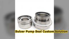 TB2P 40 Double Mechanical Seal for Sulzer AHLSTAR Pumps