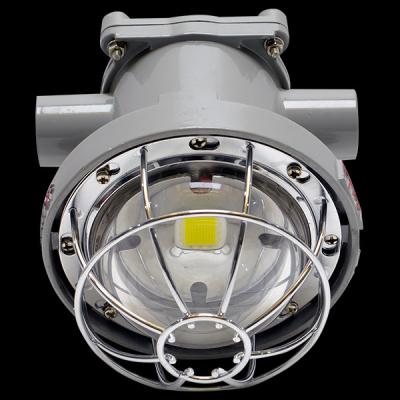 China GY1918GB LED Explosion Proof Lamp , 15W 20W Industrial Explosion Proof Lighting for sale