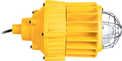 China AC100-240V Portable Explosion Proof Lighting IP65 With 50/60Hz Frequency for sale