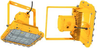 China Safety 30W - 70W Explosion Proof LED Lights High Degree 80-100Lm/W for sale