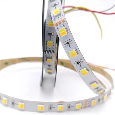 China DC 24V Adjustable Color Temperature LED Strip Flexible 5050 CW WW Dual White for sale