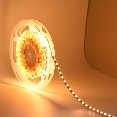 Cina High Bright Dc12v 5v Thin Led Tape Cintas 4mm 5mm Flexible Warm White Red Blue Green 120led Luces Led 2835  Led Strip Light in vendita