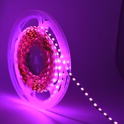 Cina High Bright Dc12v 5v Thin Led Tape Cintas 4mm 5mm Flexible Warm White Red Blue Green 120led Luces Led 2835  Led Strip Light in vendita